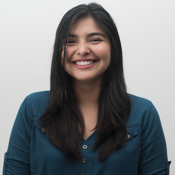 RevImport SAC – RevImport SAC